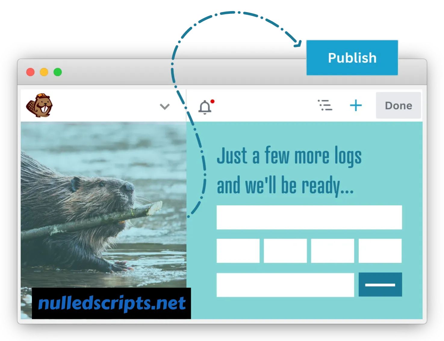 Nulled Script - Beaver Builder Pro v2.9