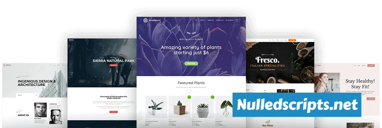 Astra Pro Addon v4.10.1 – Perfect Theme For Any Website | Nulled Script